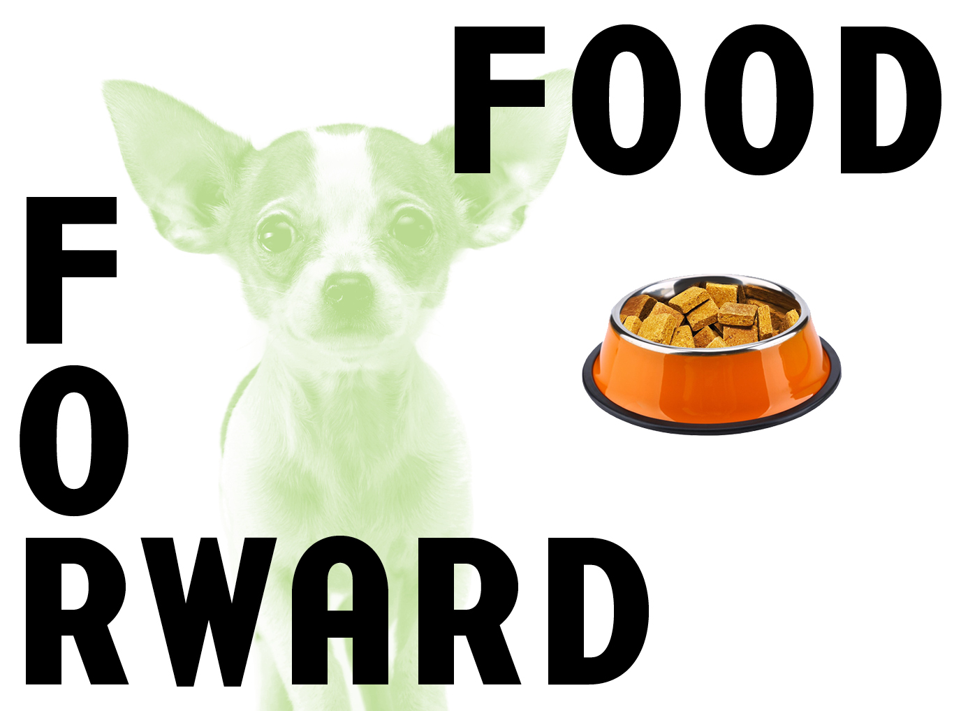Wild Earth: Taking on factory farms, one bag of kibble at a time ...
